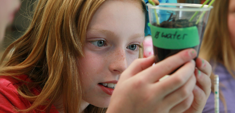 Teaching & Learning - Dr. Gordon Higgins School