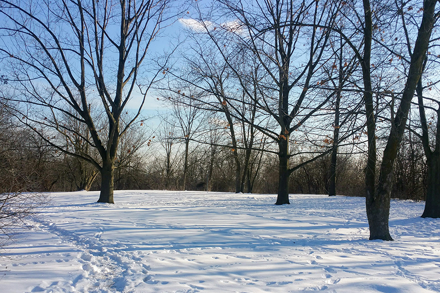 Feb. 10-14 Update | Cold Weather, Convention & Family Day, Lottery for ...